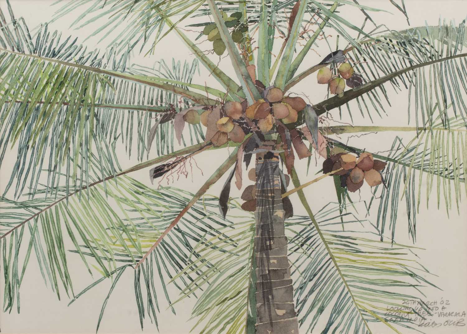 Lot 25 - Katy Ellis (Contemporary) Looking Up Into a