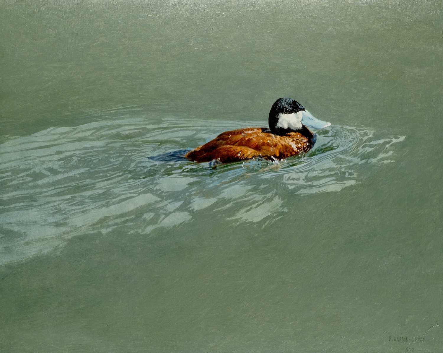 Lot 301 - Raymond Harris-Ching (b.1939) Ruddy Duck,